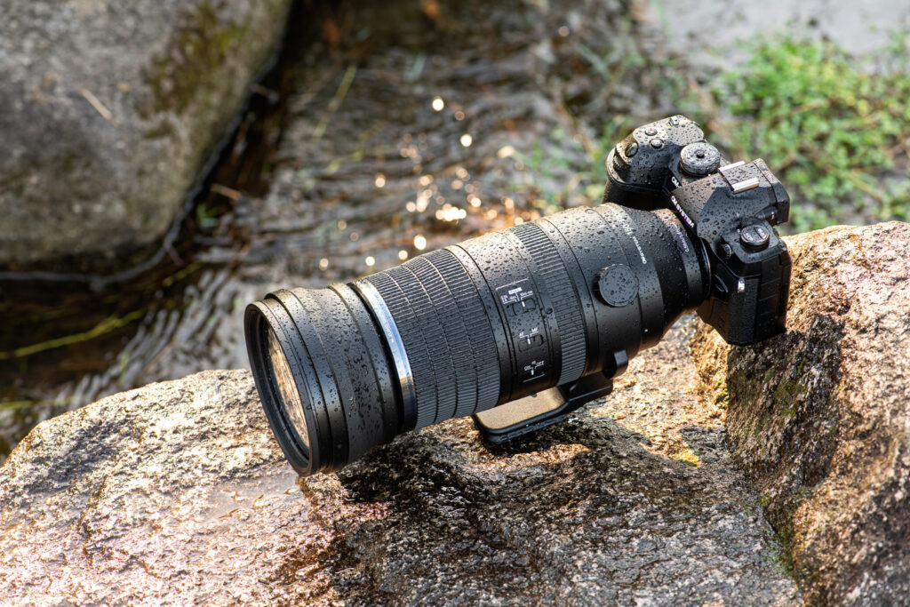 In defence of the new 150-600mm zoom from OM System - OM System/Olympus ...